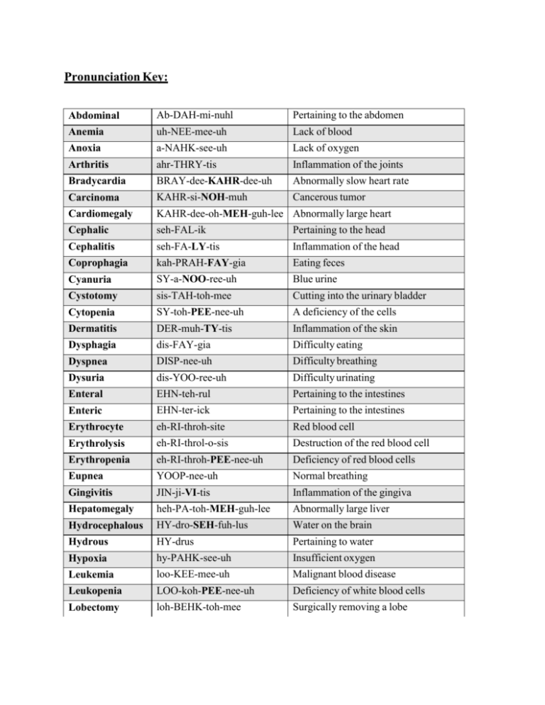 Medical Terminology Suffixes Worksheet - CommonWorksheets.com Medical Terminology Suffixes Worksheet - CommonWorksheets.com